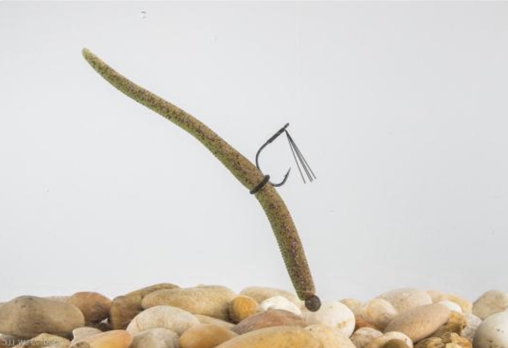 The Neko Rig - Basshogg